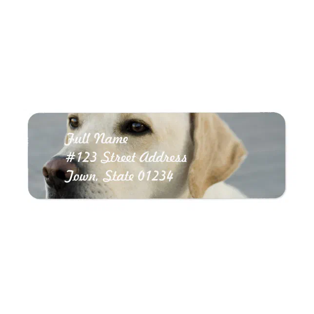 Yellow Lab Mailing Labels | Zazzle