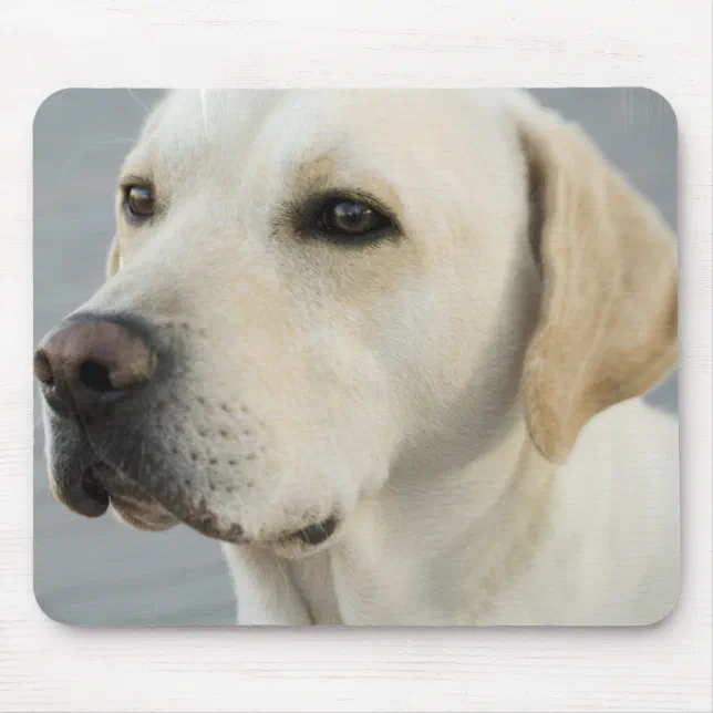 Yellow Lab Mouse Pad | Zazzle