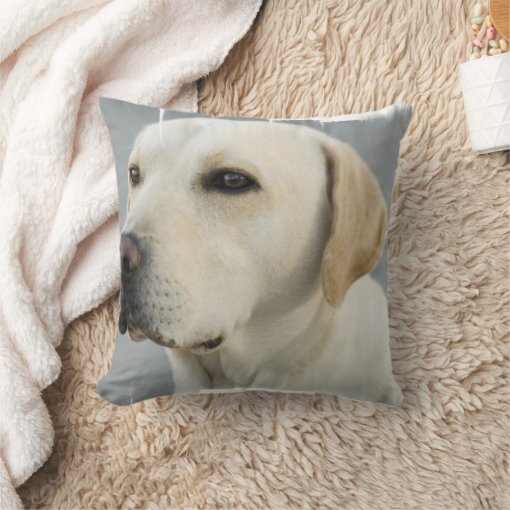 Yellow Lab Pillow | Zazzle