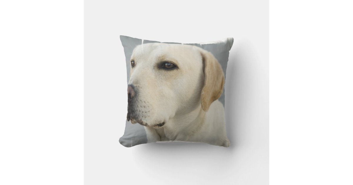 Yellow Lab Pillow | Zazzle