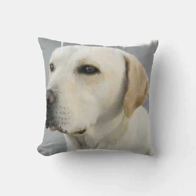 Yellow Lab Pillow | Zazzle