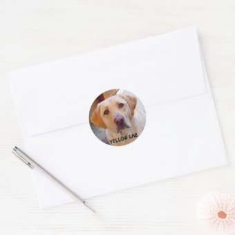 Yellow Lab Sticker | Zazzle