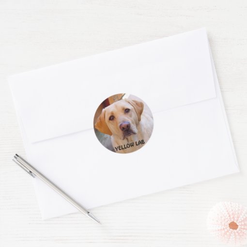 Yellow Lab Sticker | Zazzle