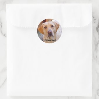 Yellow Lab Sticker | Zazzle