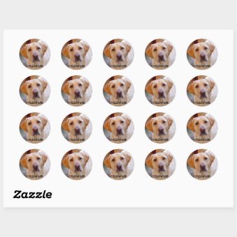 Yellow Lab Sticker | Zazzle