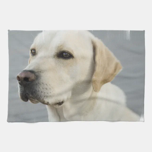 Yellow Lab Towel | Zazzle