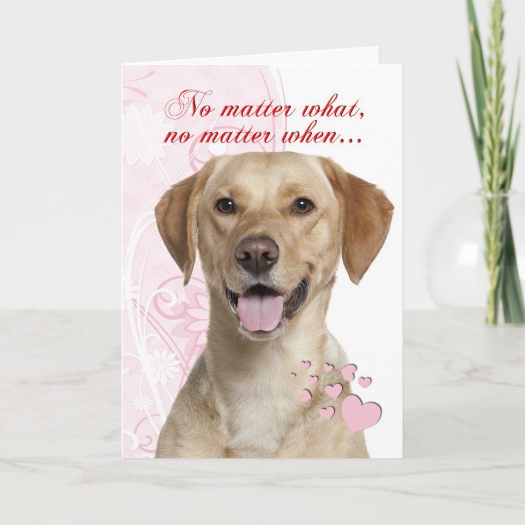 Yellow Lab Valentine Holiday Card | Zazzle