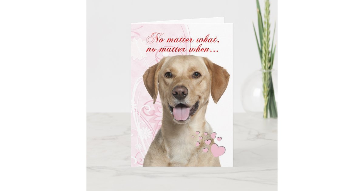 Yellow Lab Valentine Holiday Card | Zazzle