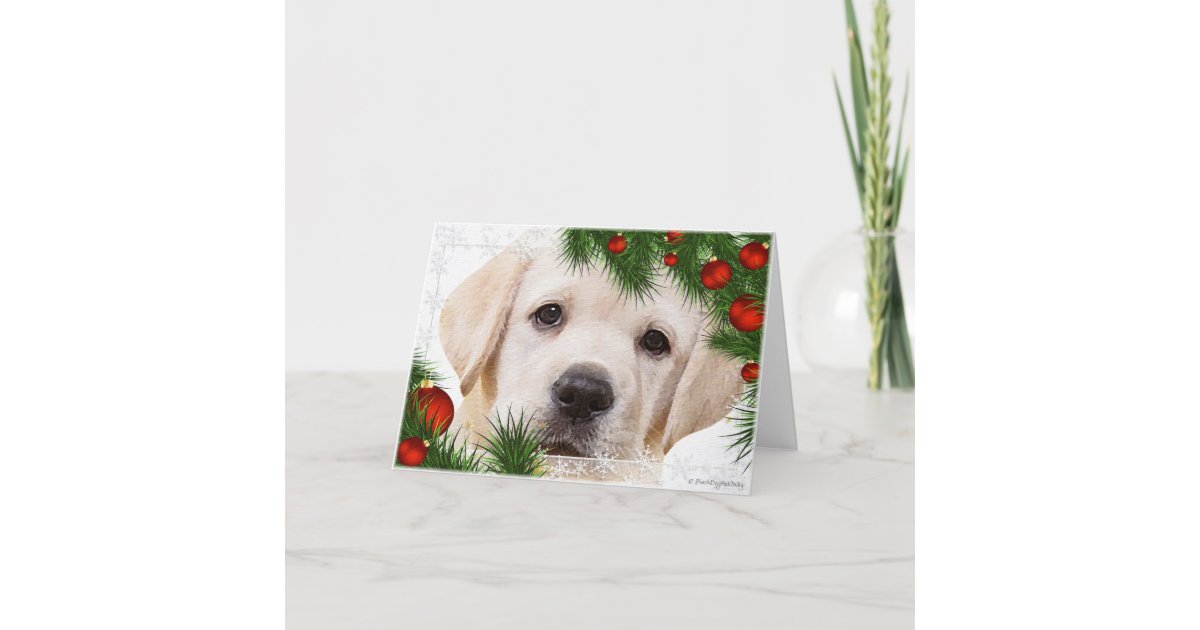 Yellow Labrador Christmas Card | Zazzle