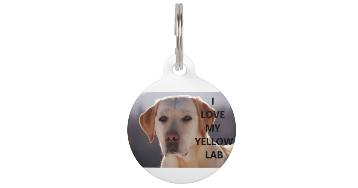 yellow labrador love w pic pet name tag | Zazzle