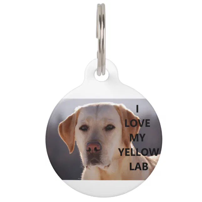 yellow labrador love w pic pet name tag | Zazzle