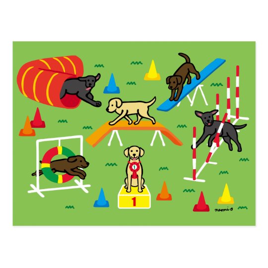 Yellow Labrador Retriever Agility Cartoon Postcard | Zazzle.com