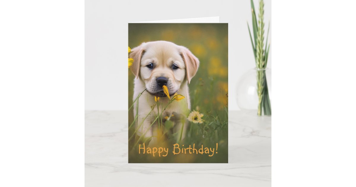 Yellow Labrador Retriever Birthday Card | Zazzle