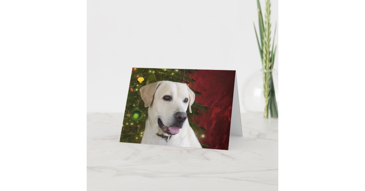 Yellow labrador retriever Christmas Holiday Card | Zazzle