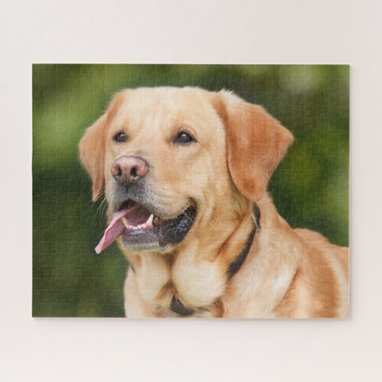 Yellow Labrador Retriever Dog - Lab Jigsaw Puzzle | Zazzle.com