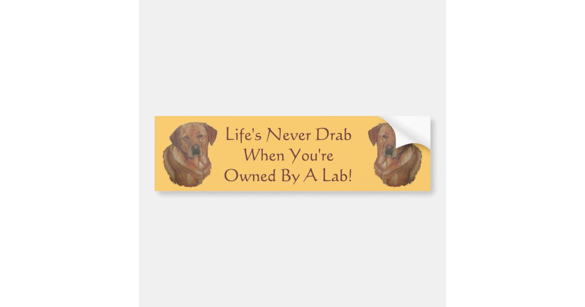 yellow labrador retriever dog portrait art slogan bumper sticker | Zazzle
