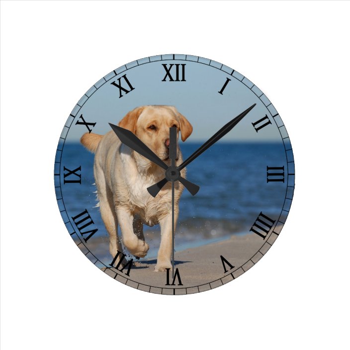 Yellow labrador retriever on the beach round clock | Zazzle.com