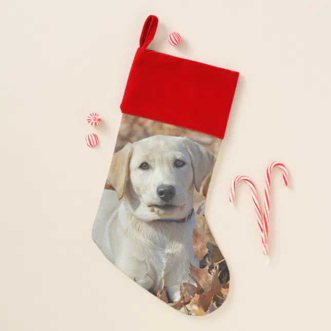 Yellow Labrador Retriever Puppy Christmas Stocking | Zazzle