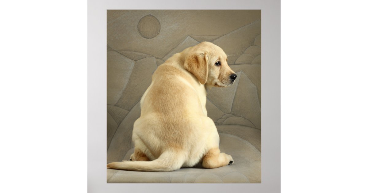 Yellow Labrador Retriever Puppy Poster | Zazzle