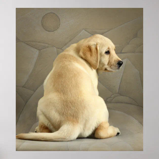 Yellow Labrador Retriever Puppy Poster | Zazzle