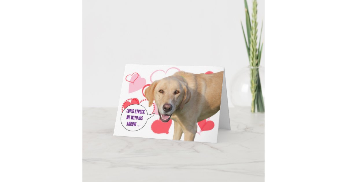 Yellow Labrador Retriever Valentine's Day Card | Zazzle