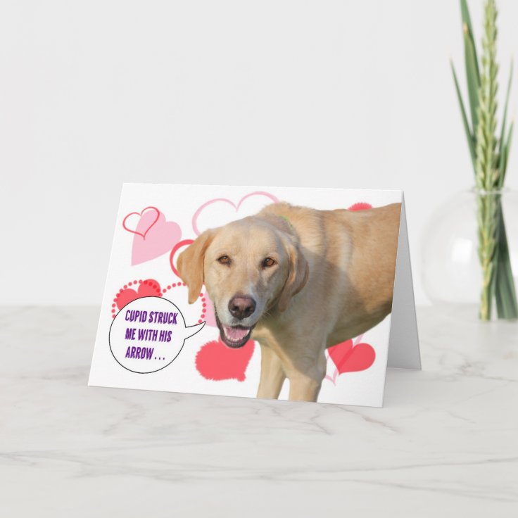 Yellow Labrador Retriever Valentine's Day Card | Zazzle