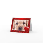 Yellow Labrador Valentine Puppy Holiday Card | Zazzle