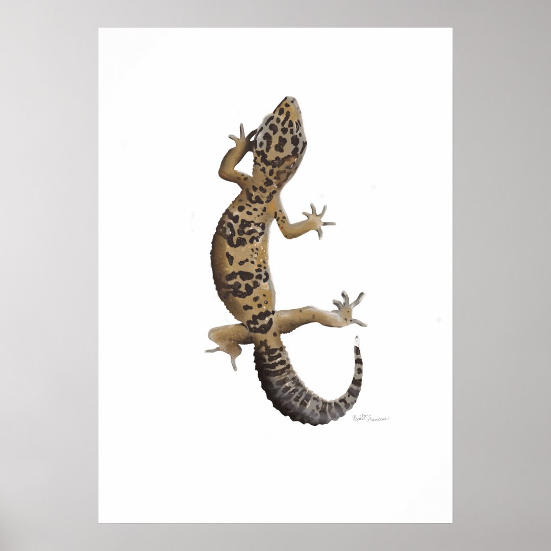 Yellow leopard gecko poster | Zazzle