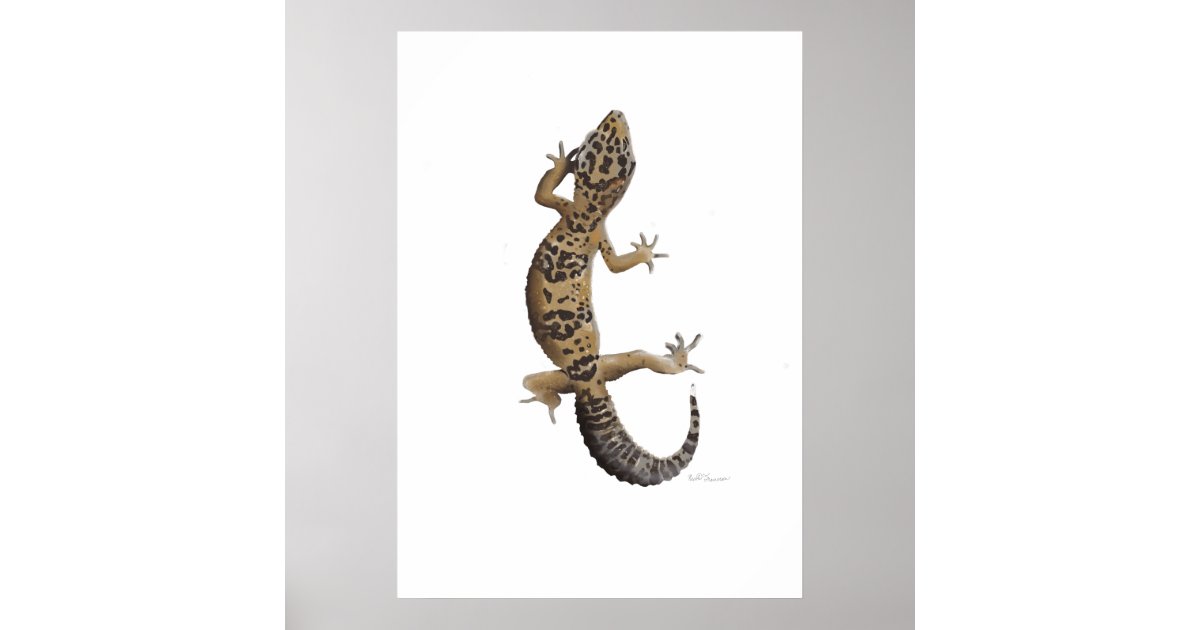 Yellow leopard gecko poster | Zazzle