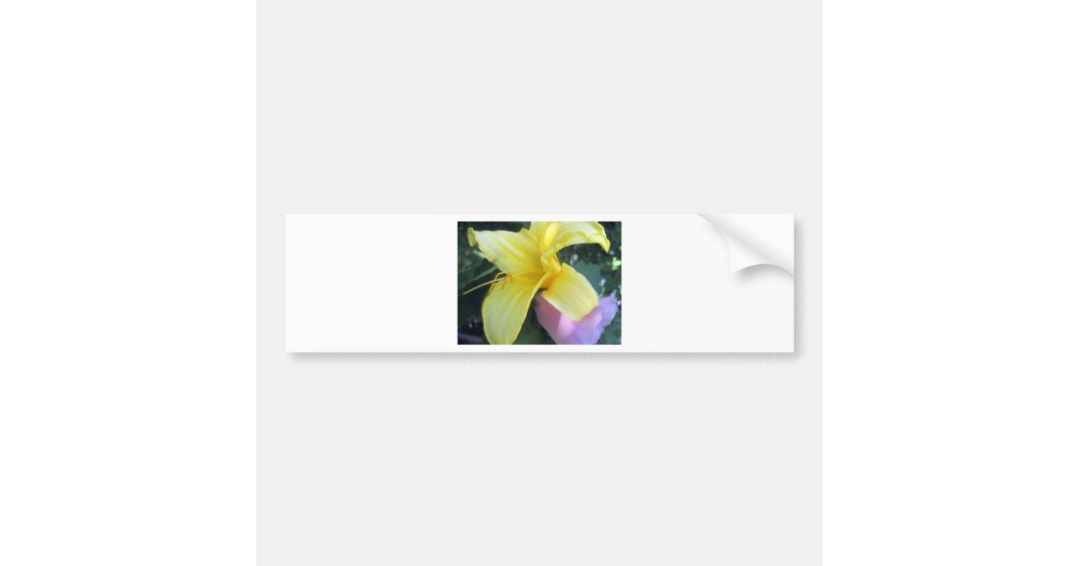 Yellow Lily Bumper Sticker | Zazzle