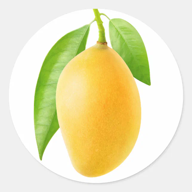 Yellow mango classic round sticker | Zazzle