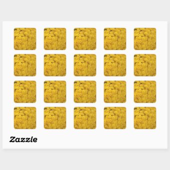 "Yellow Mums" Sticker | Zazzle