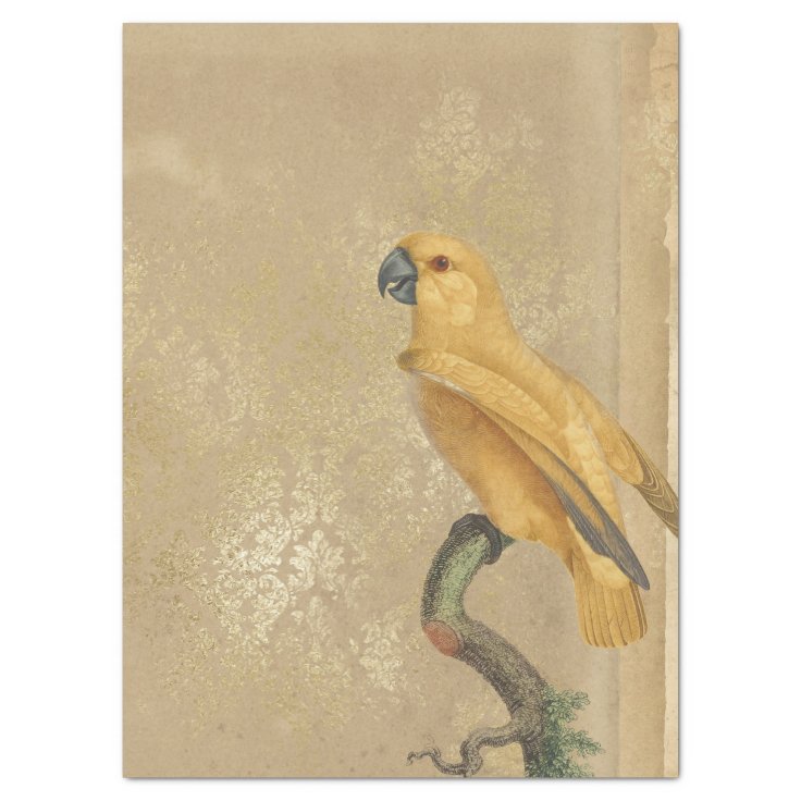 Yellow Parrot on Tan and Gold Decoupage Tissue Paper | Zazzle