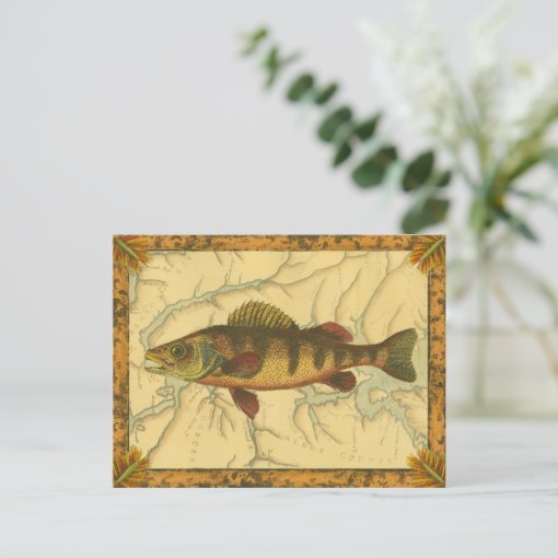 Yellow Perch on Map Postcard | Zazzle