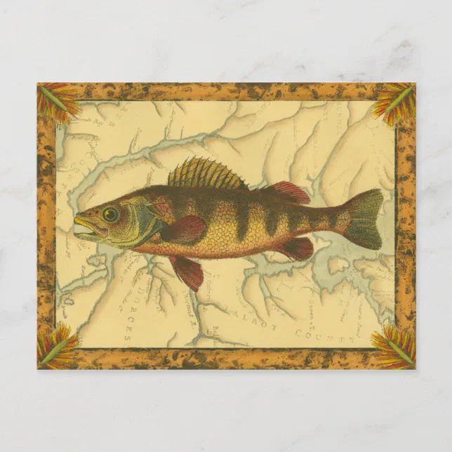 Yellow Perch on Map Postcard | Zazzle