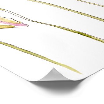 yellow poppy ink and watercolor poster | Zazzle