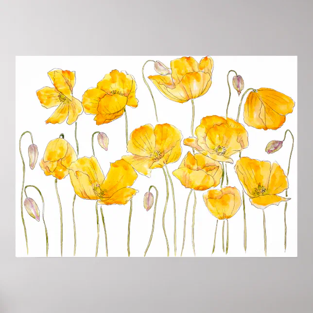 yellow poppy ink and watercolor poster | Zazzle