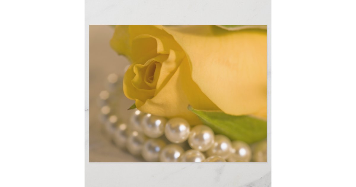 Yellow Rose and Pearls | Zazzle