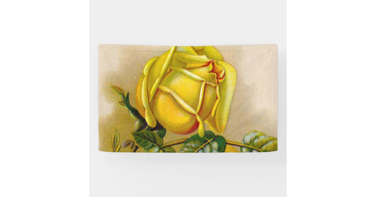 Yellow Rose Antique Vintage Print Fine Art Banner | Zazzle