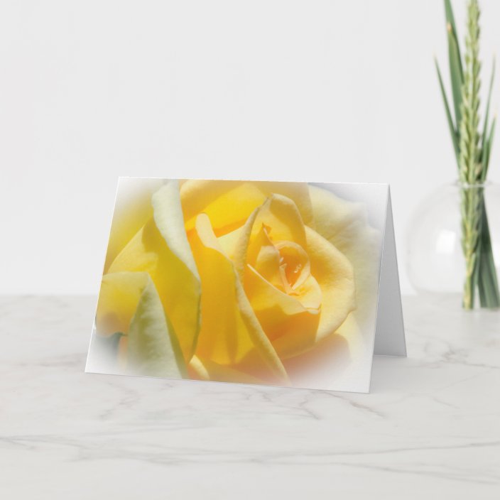 Yellow Rose Blank Greeting Card | Zazzle.com