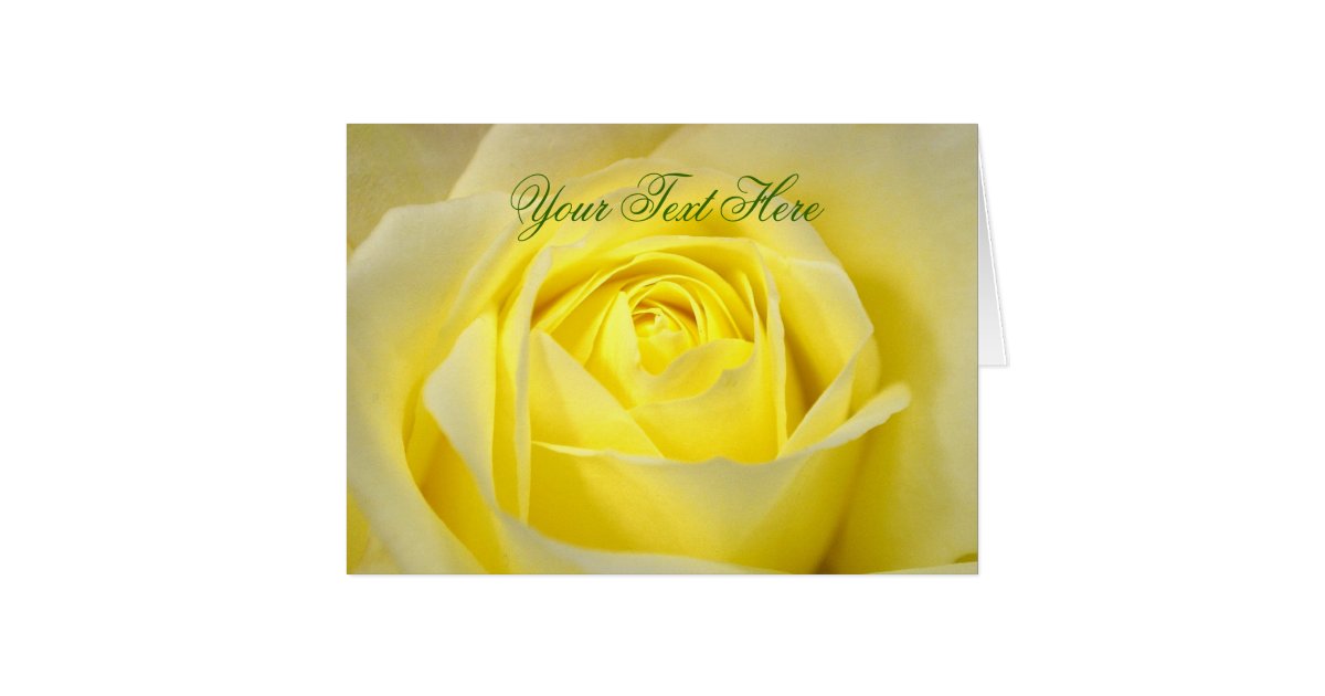 Yellow Rose Card | Zazzle