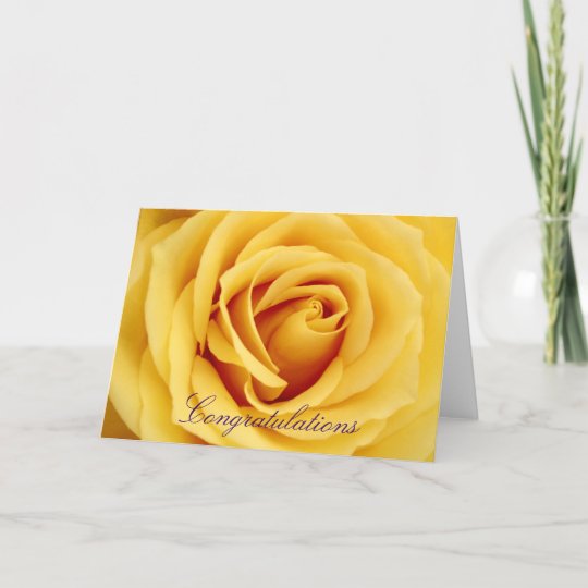 Yellow rose, Congratulations Card | Zazzle.com