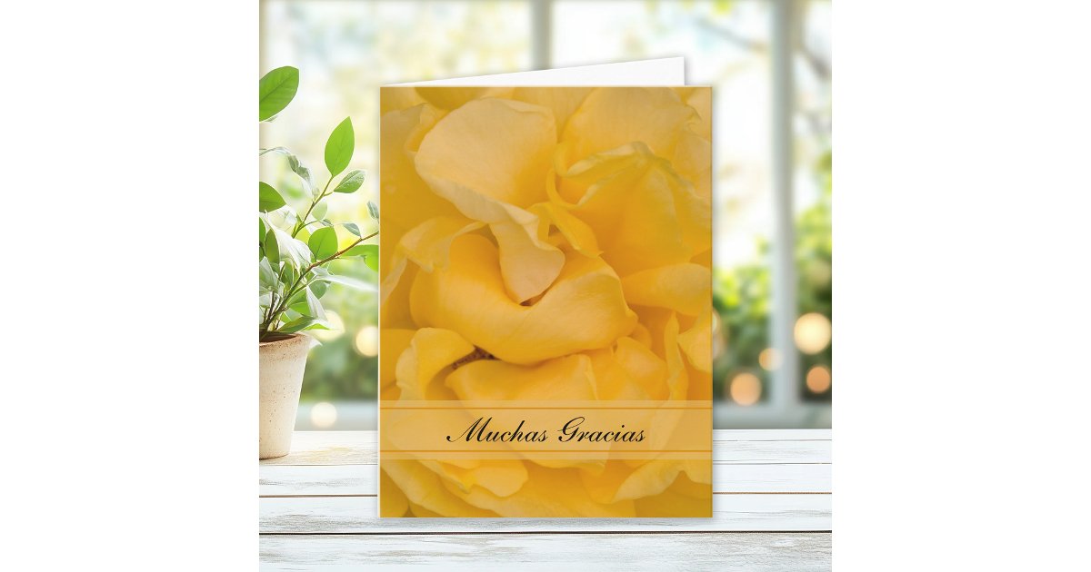 Yellow Rose Flower Spanish Thank You Gracias | Zazzle