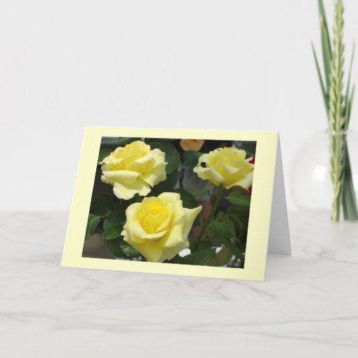 Yellow Rose Greeting Card | Zazzle
