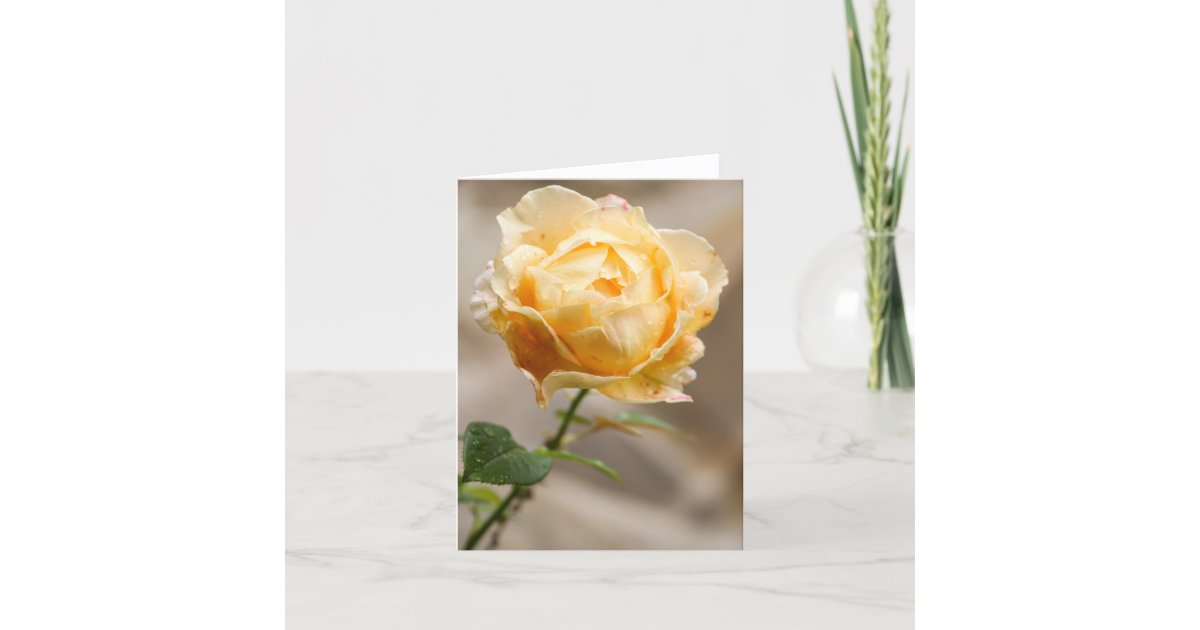Yellow Rose Note Card | Zazzle