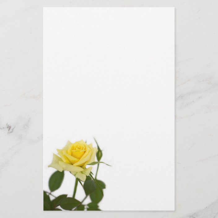 Yellow rose stationery | Zazzle.com