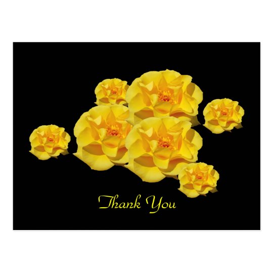 Yellow Roses thank you postcard | Zazzle.com