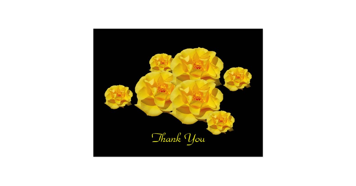 Yellow Roses thank you postcard | Zazzle.com