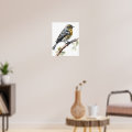 Yellow Rumped Warbler Bird Art Print Poster | Zazzle