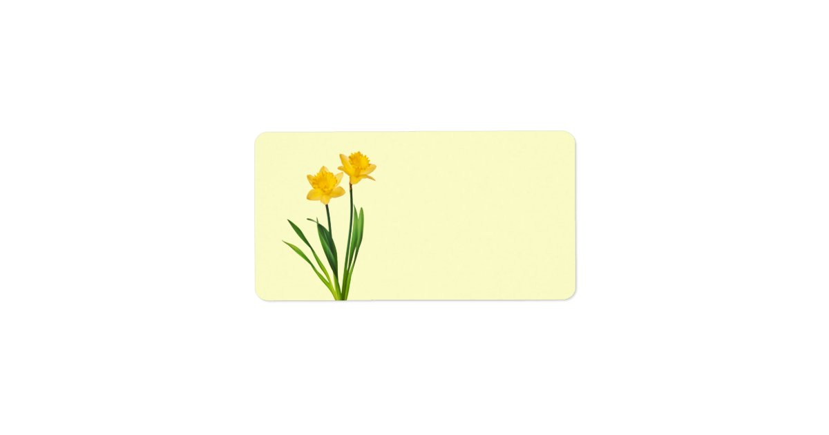 Yellow Spring Daffodils - Daffodil Template Label | Zazzle